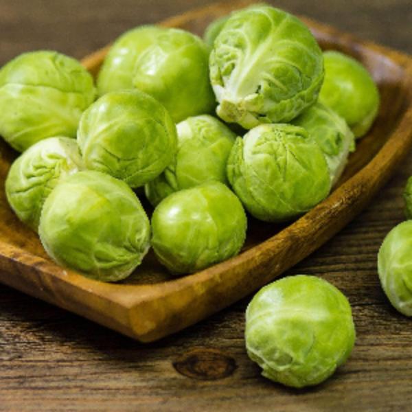 How to Grow Conker Trees: The Complete Guide to Cultivating Horse ...