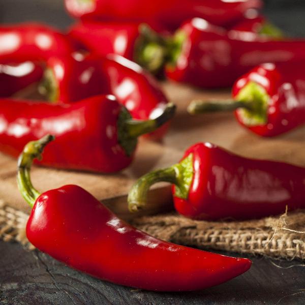 Chilli 'Apache' – AcquaGarden