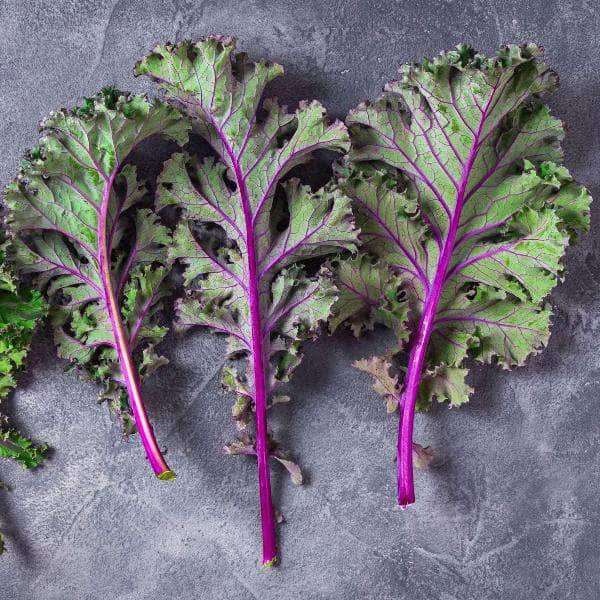 The Comprehensive Guide to Growing Swede Plants | Acqua Garden ...
