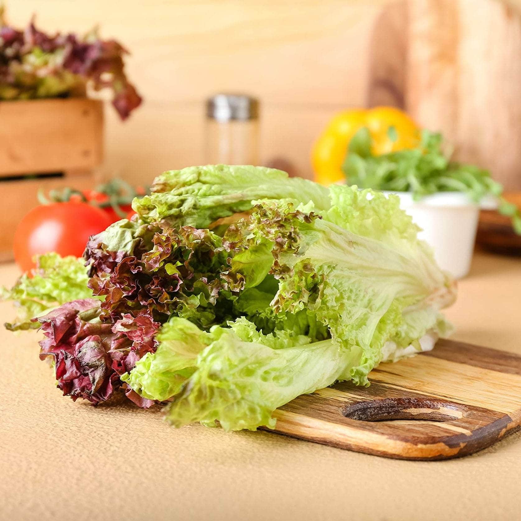 Fresh Lollo Rosso Lettuce – Buy Online | AcquaGarden