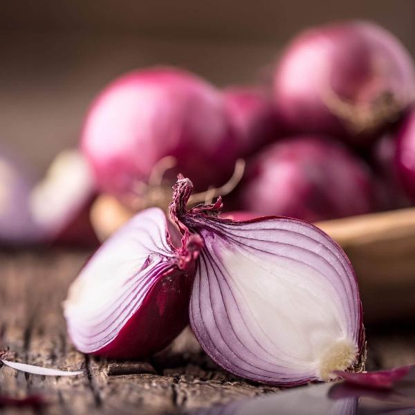 Red Onion Bulbs for Planting | AcquaGarden