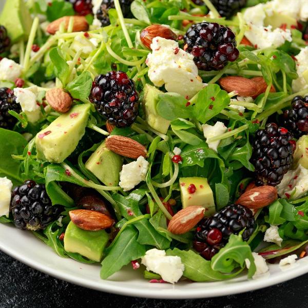 Blackberry Triple Crown Thornless Plant | Acqua Garden – AcquaGarden