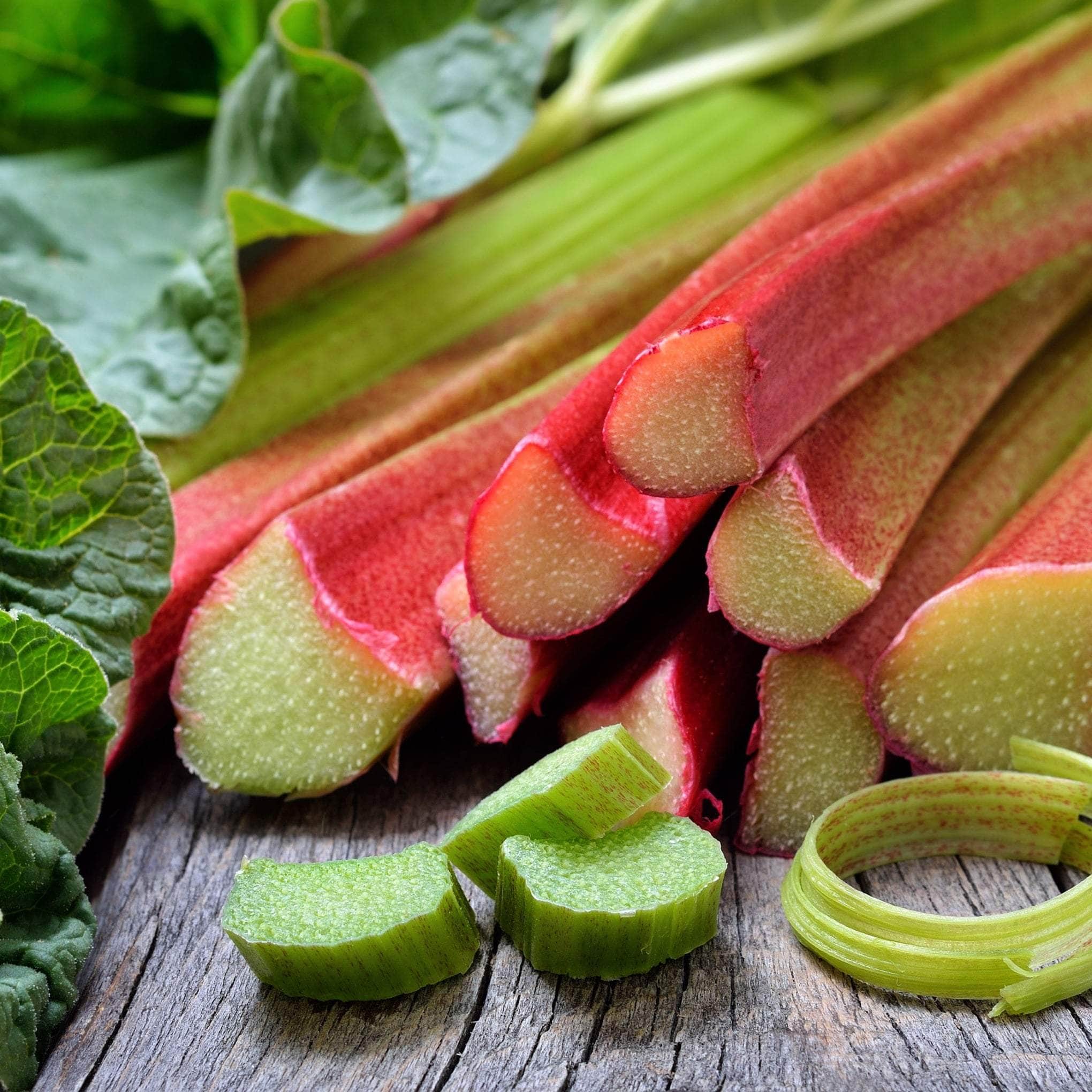 Buy Premium Rhubarb Plants | AcquaGarden UK