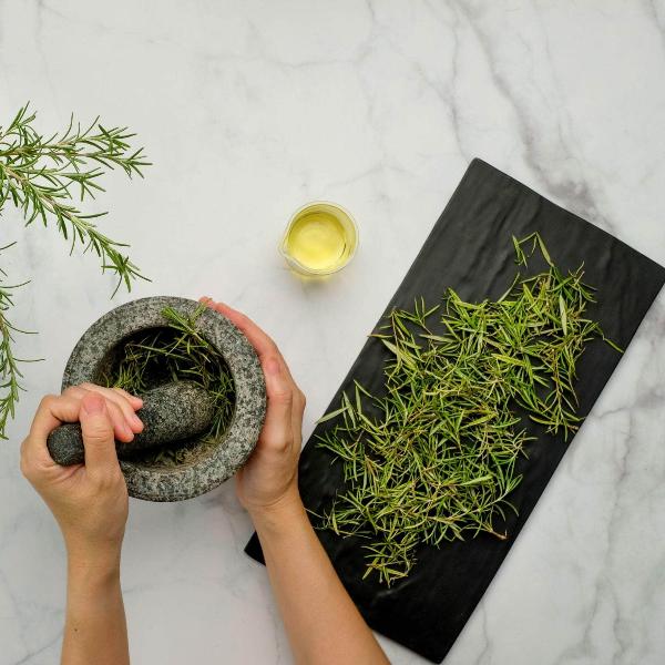 Buy Rosemary 'Mrs Jessop's' - Aromatic Herb Plant | Acqua Garden ...