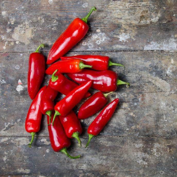 Buy Hot Burrito Chilli Plant | AcquaGarden UK