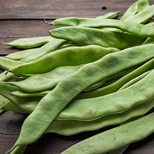 Firestorm Runner Beans | High Yield & Sweet Pods – AcquaGarden
